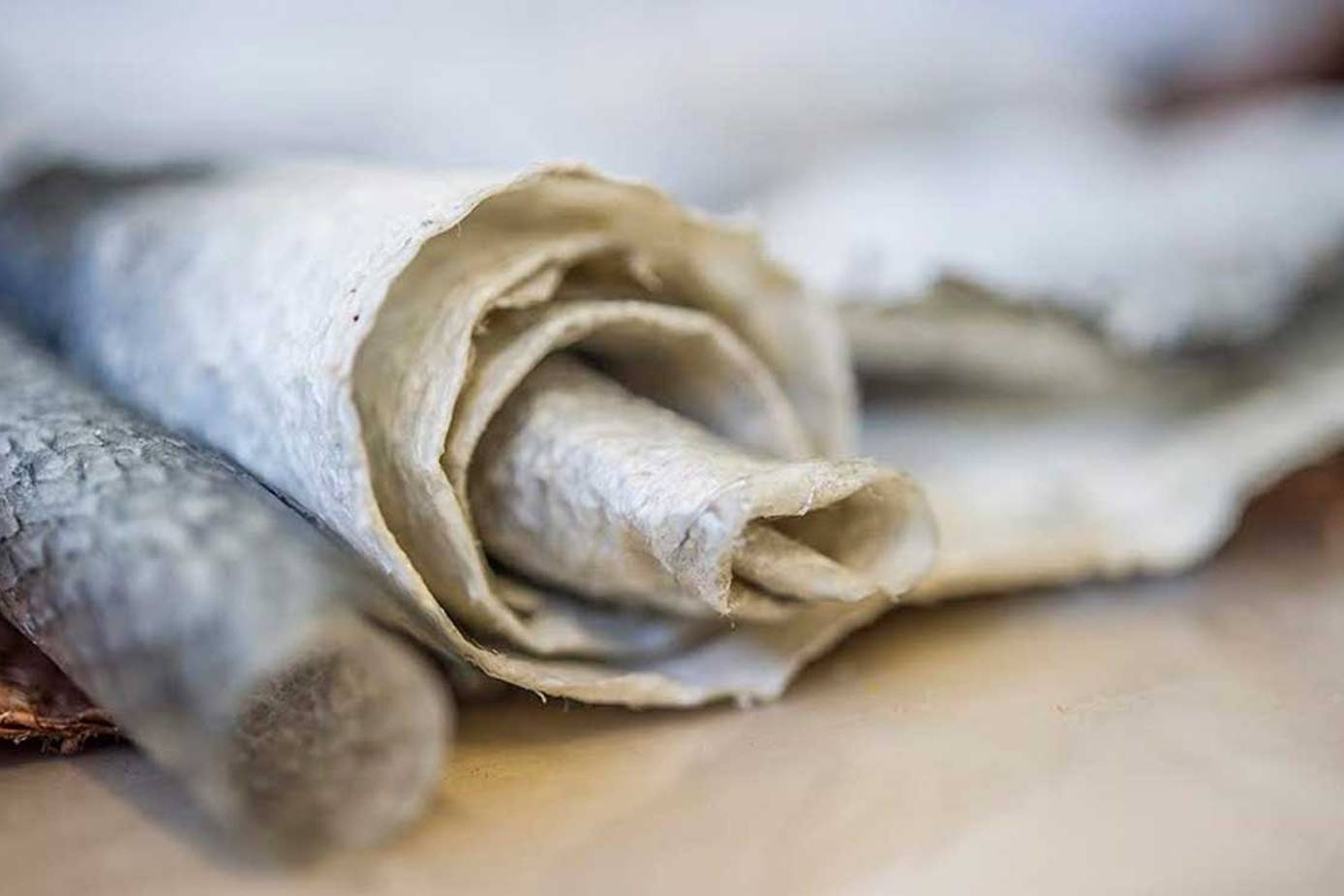 Is fish skin the new frontier for eco-friendly fashion?